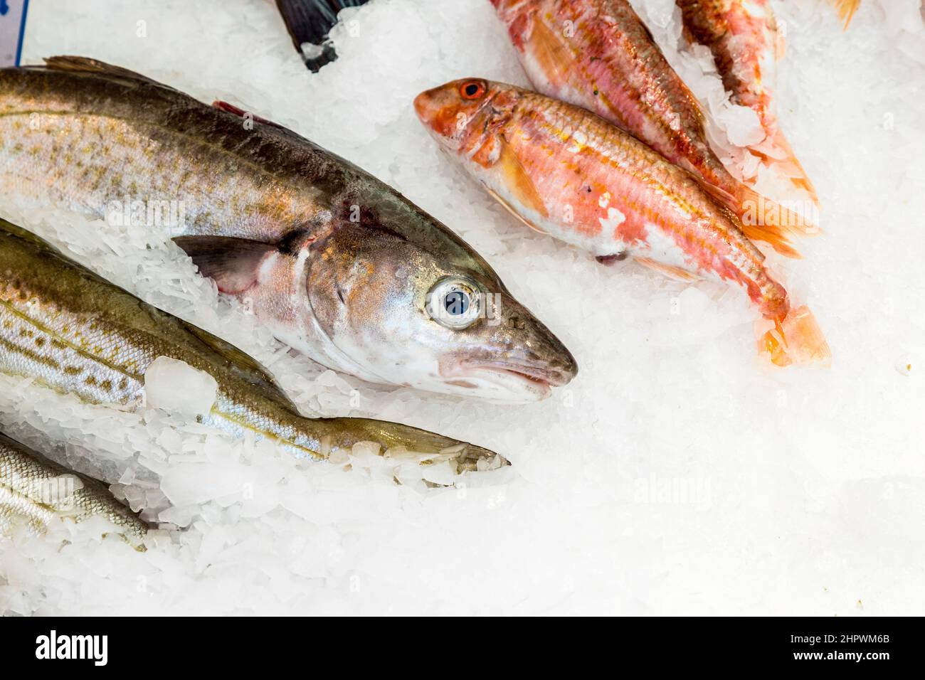 whole fresh fishes are offered in the fish market in paris Stock Photo ...