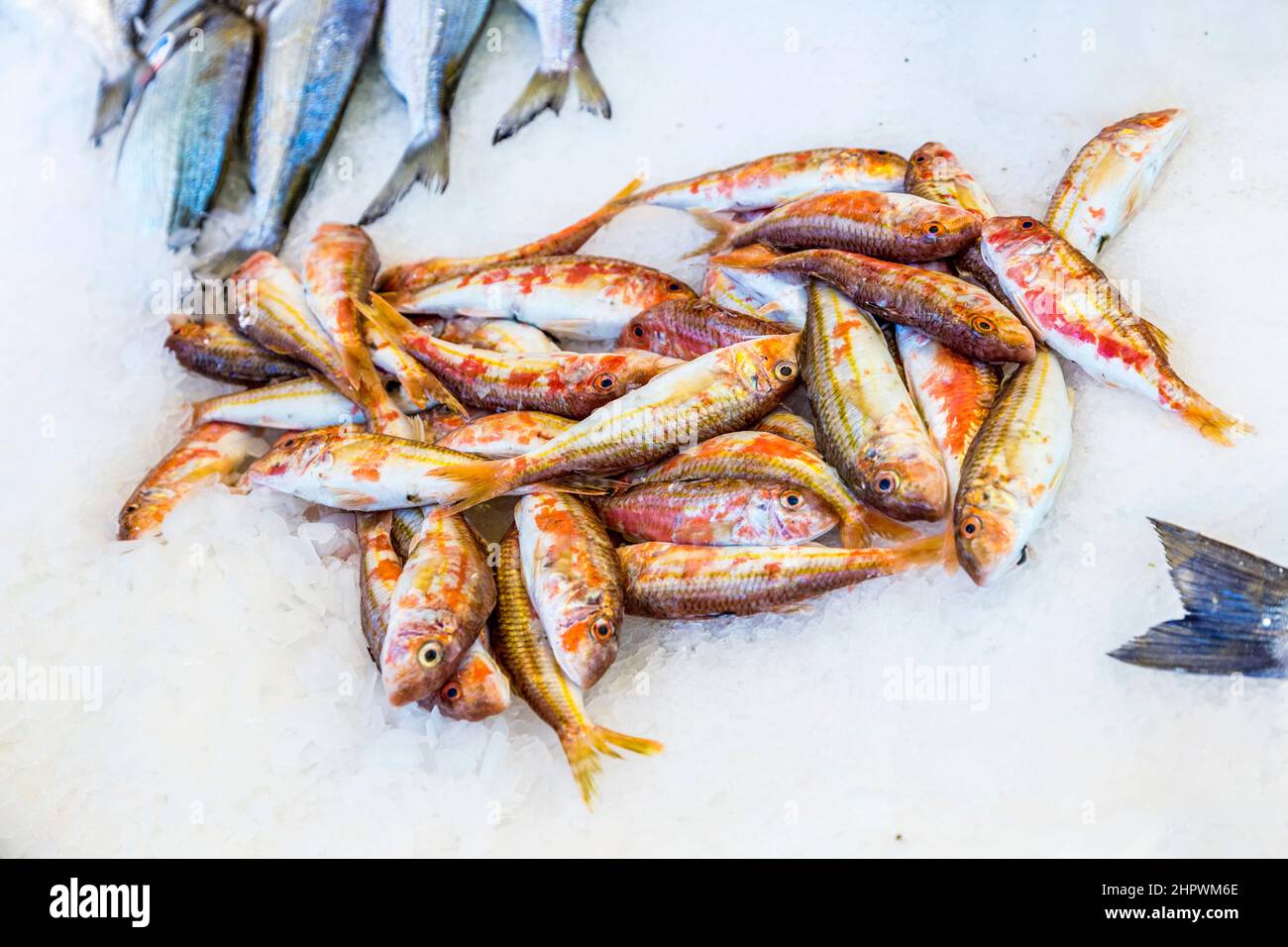 whole fresh fishes are offered in the fish market in paris Stock Photo ...