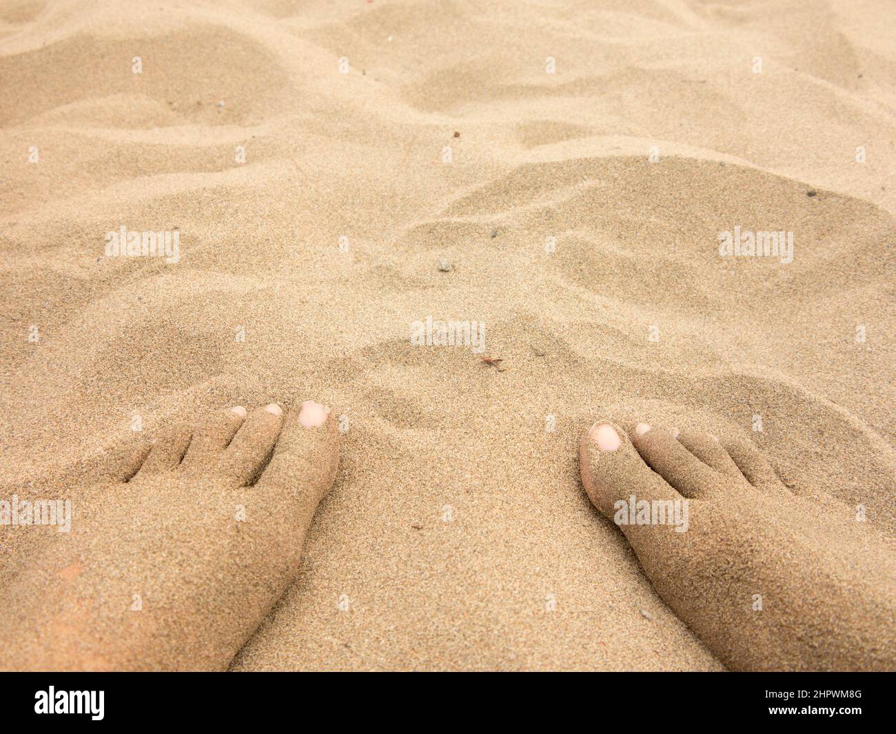 female feet barefoot at the beach Stock Photo - Alamy