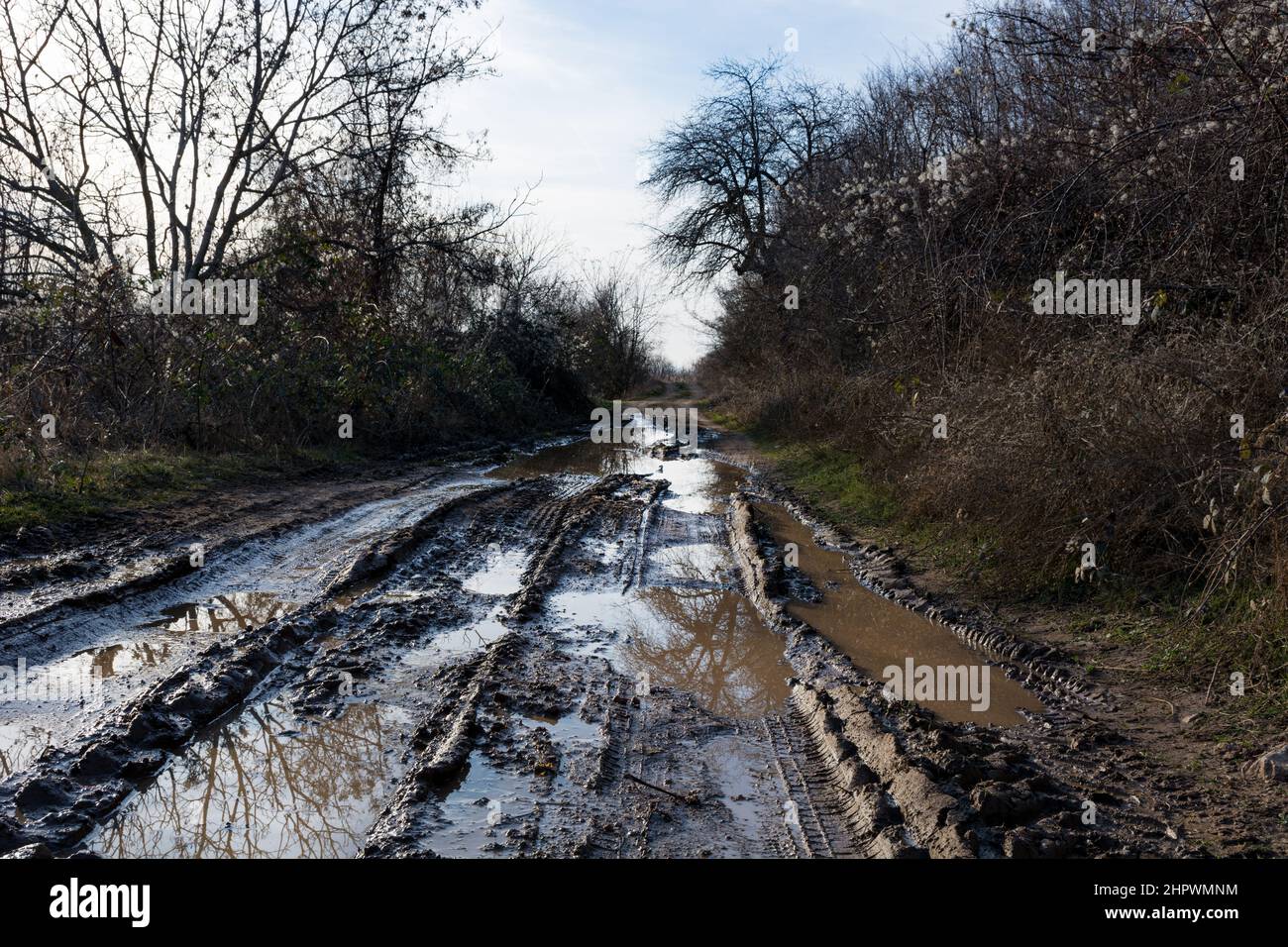 Road track in a countryside landscape with a muddy road. Extreme path ...