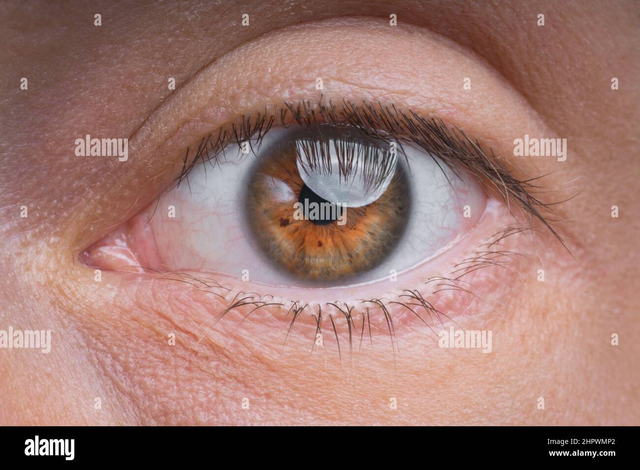 Brown human eye hi-res stock photography and images - Alamy