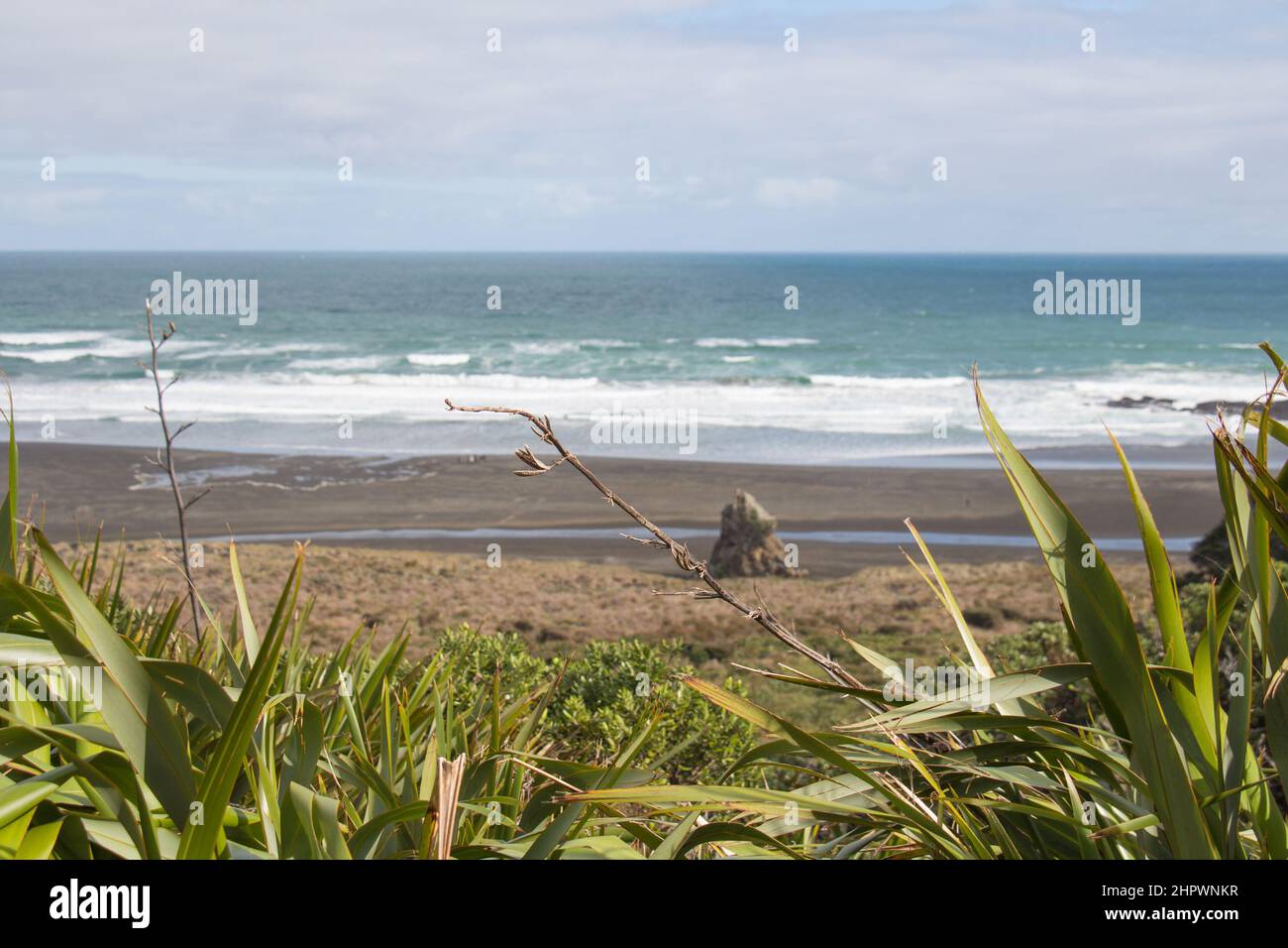 Marine landscape. Waitakere Ranges Regional Park - northern end of ...