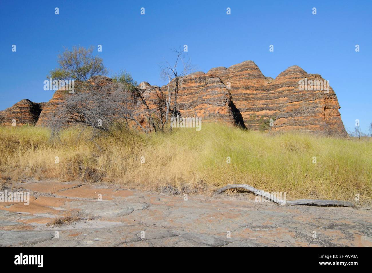 Rock formations in Purnululu National Park, Bungle Bungle, Kimberley ...