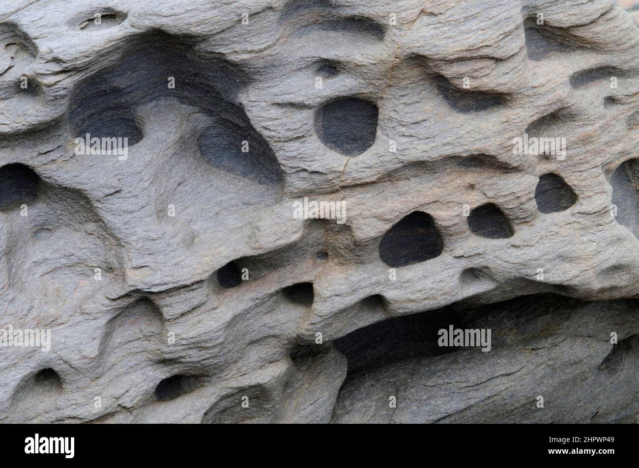 Rock formation, perforated sandstone, Cape Jervis, Australia Stock ...