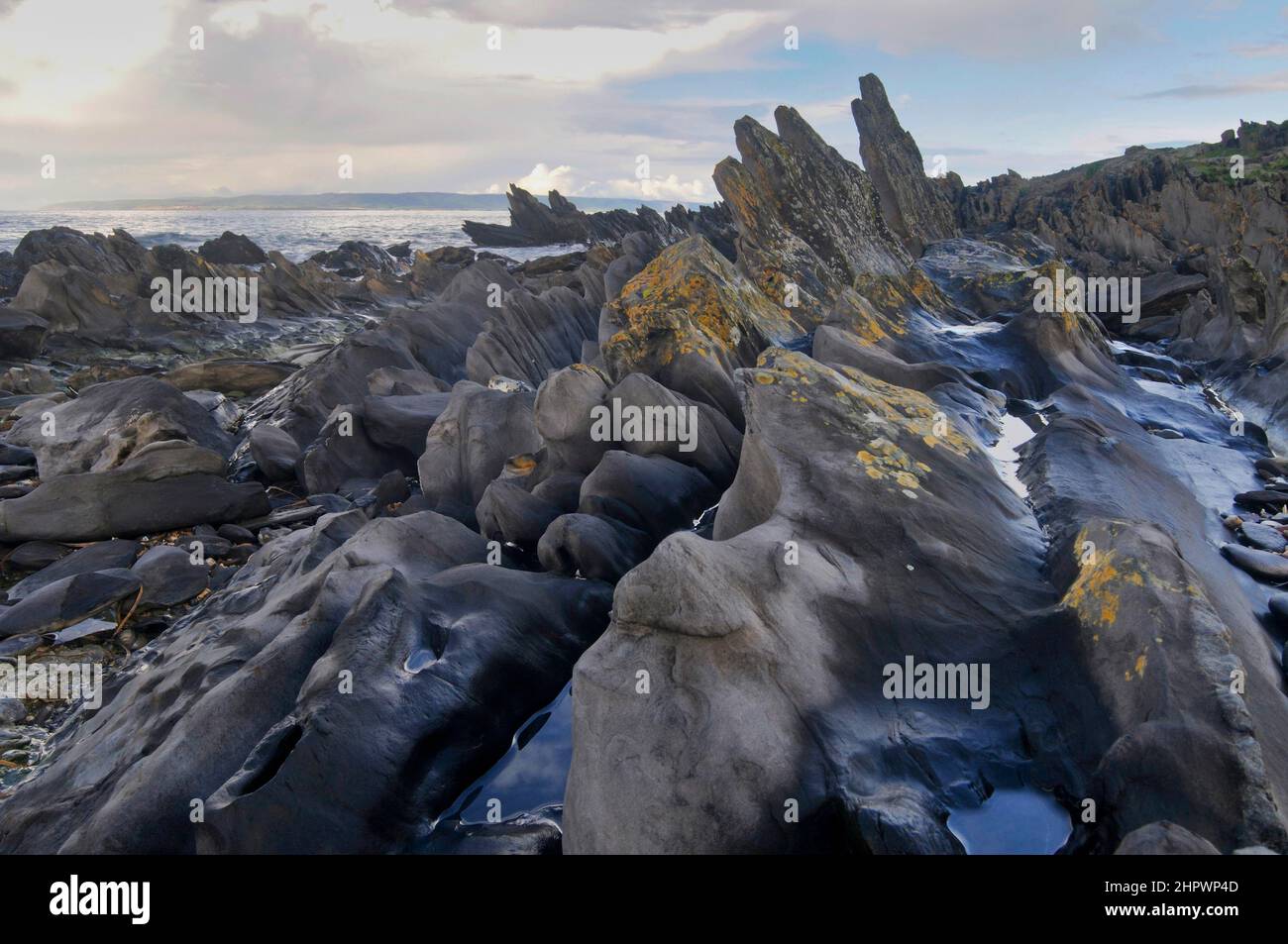 Coastal Cliffs, Penneshaw, Kangaroo Island, Australia Stock Photo - Alamy