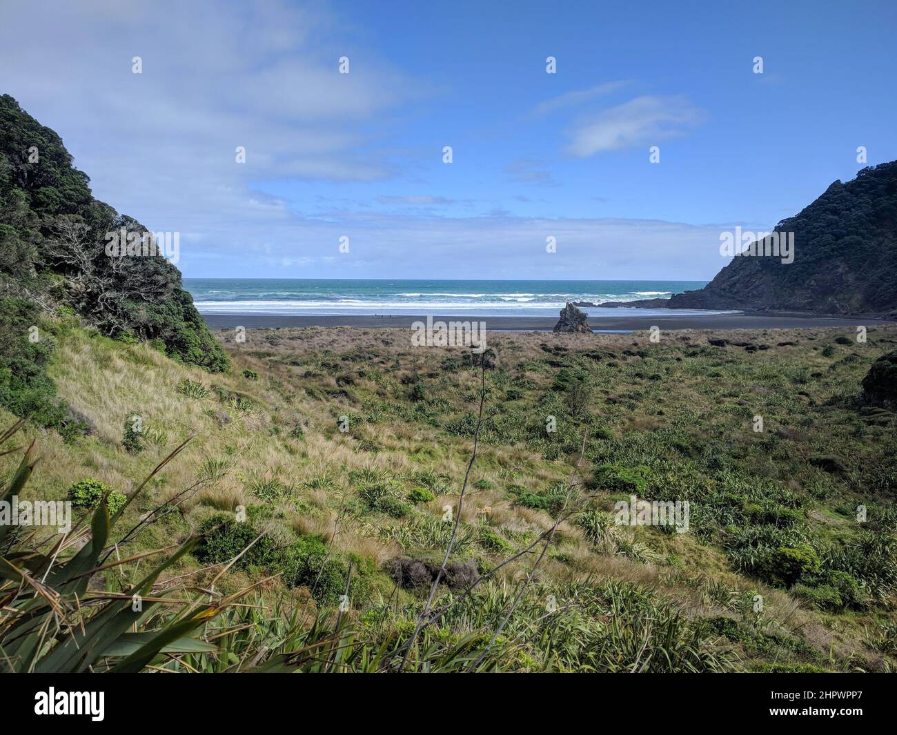Marine landscape. Waitakere Ranges Regional Park - northern end of ...