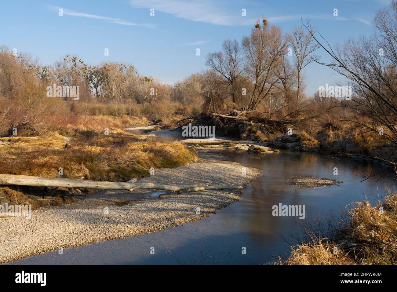 Danube floodplain forest national park hi-res stock photography and ...