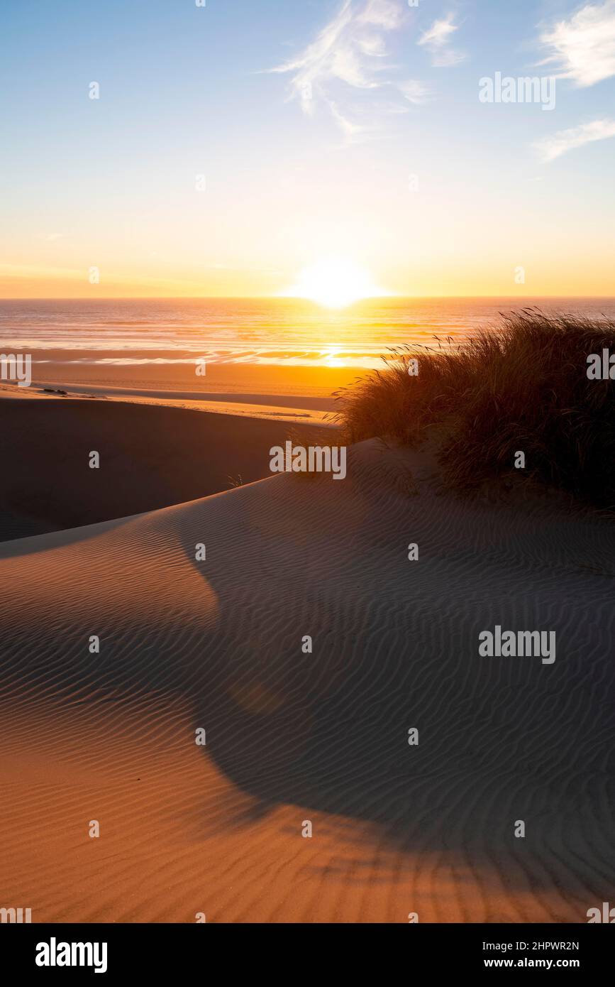 Sunset over the sea, sandy beach with sand dunes on the coast, Alder ...