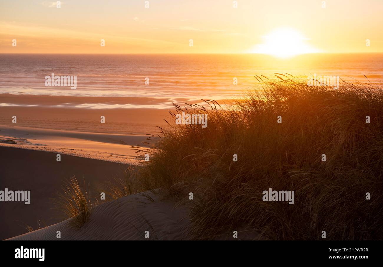 Sunset over the sea, sandy beach with sand dunes on the coast, Alder ...