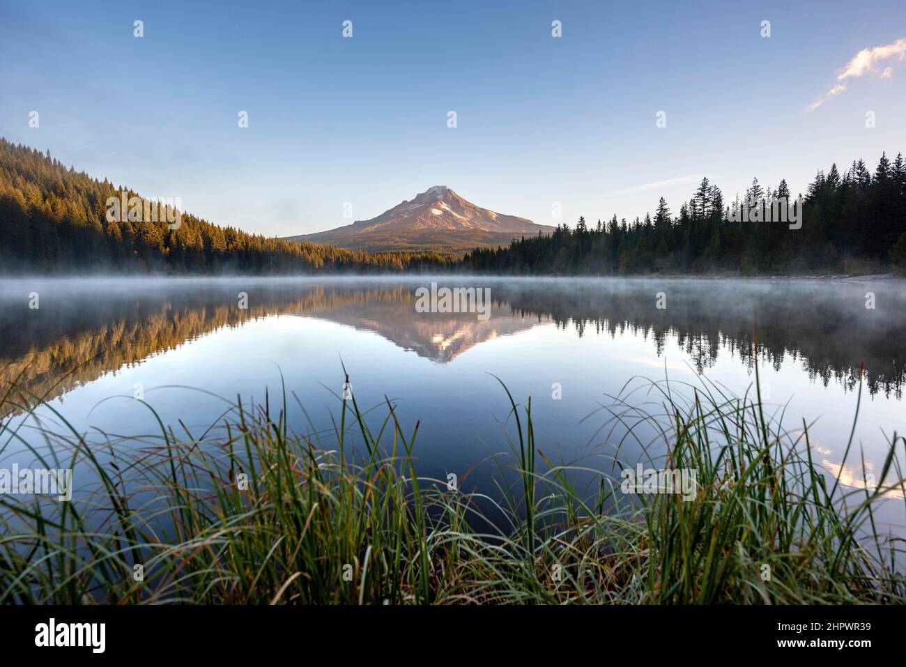 Shore with grass, reflection of Mt. Hood volcano in Trillium Lake, at ...