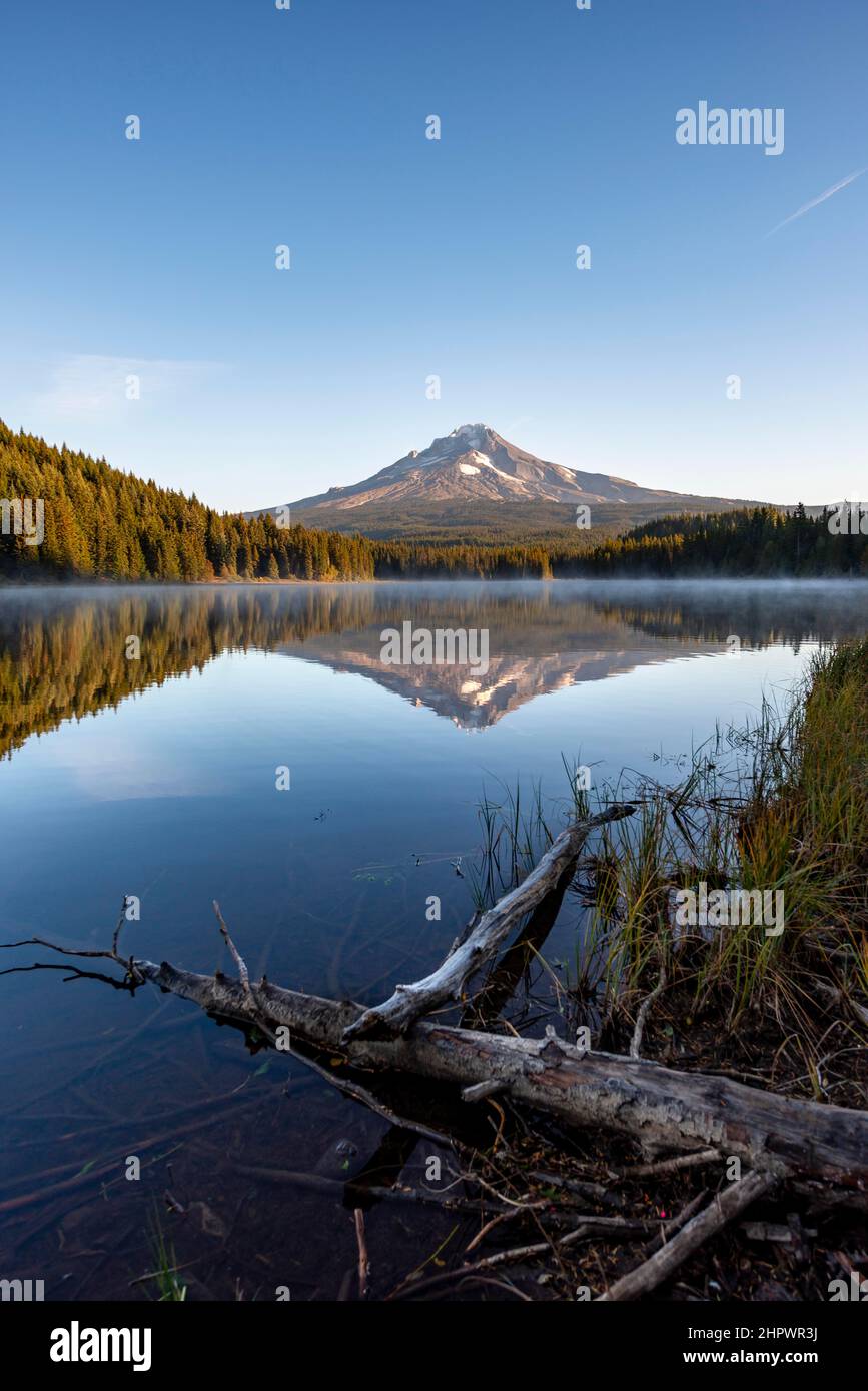 Lake shore, reflection of Mt. Hood volcano in Trillium Lake, in morning ...