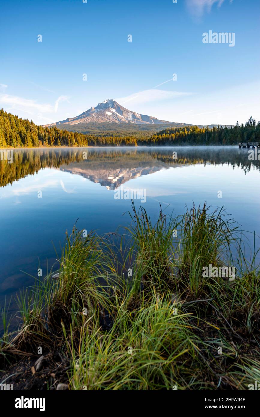 Lake shore with grass, reflection of Mt. Hood volcano in Trillium Lake ...