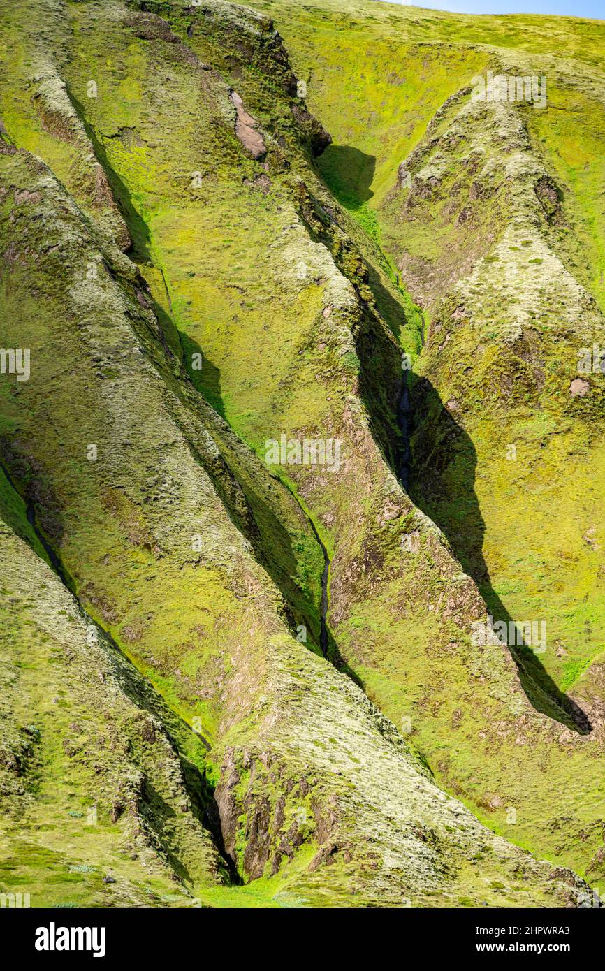 Detail, Ridge, Landscape with mountains, Pakgil, Iceland Stock Photo ...