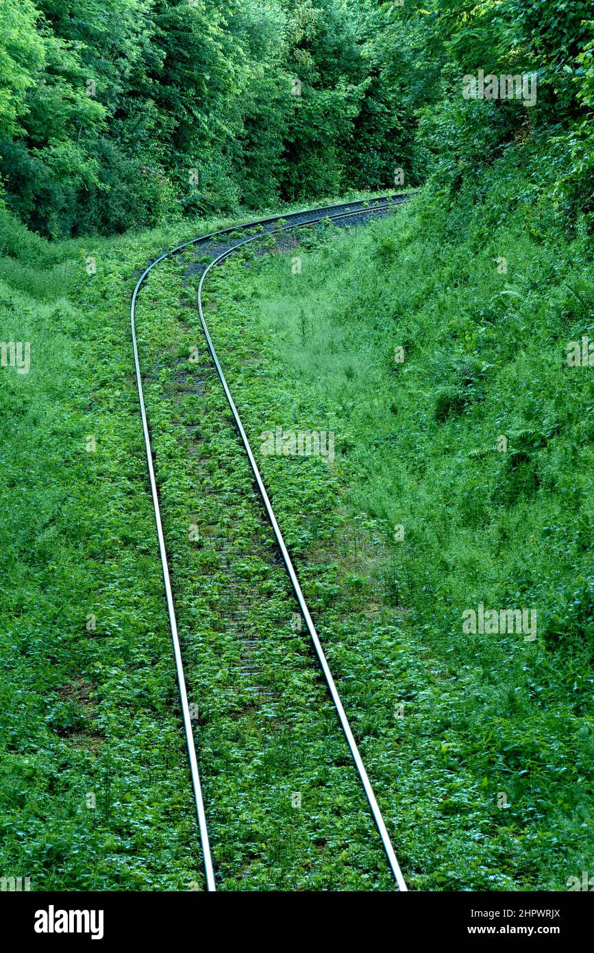 Single-track overgrown railway line, single-track railway track, curve ...
