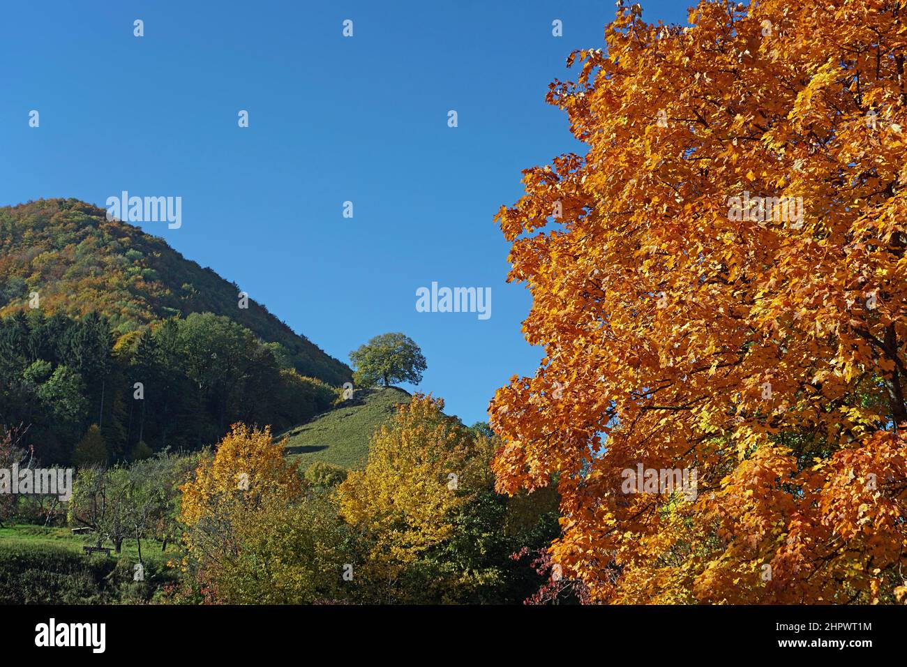 Dettingen hi-res stock photography and images - Alamy