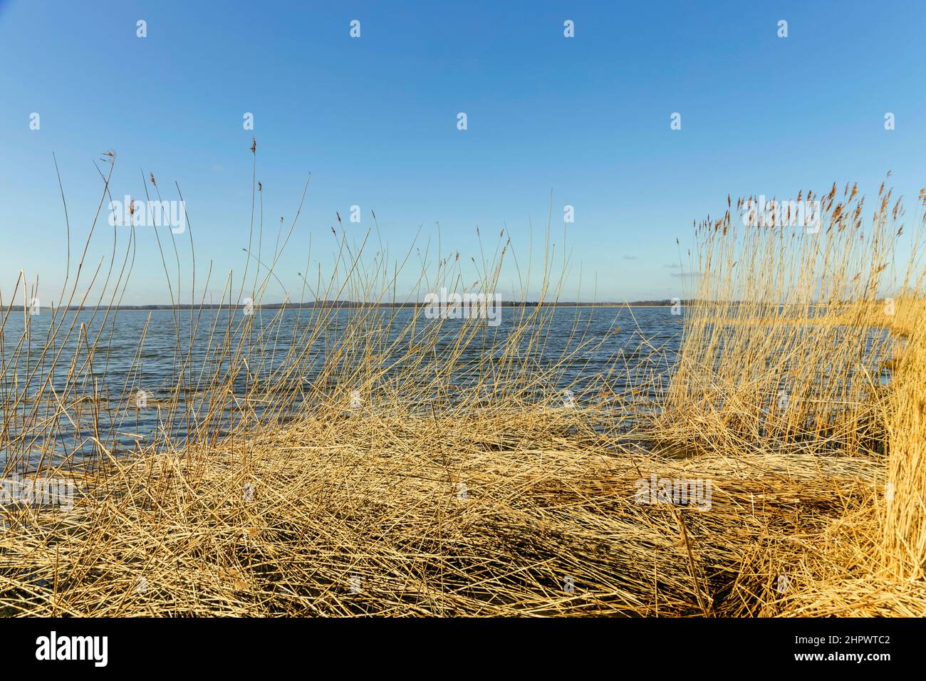 Backwater basin hi-res stock photography and images - Alamy