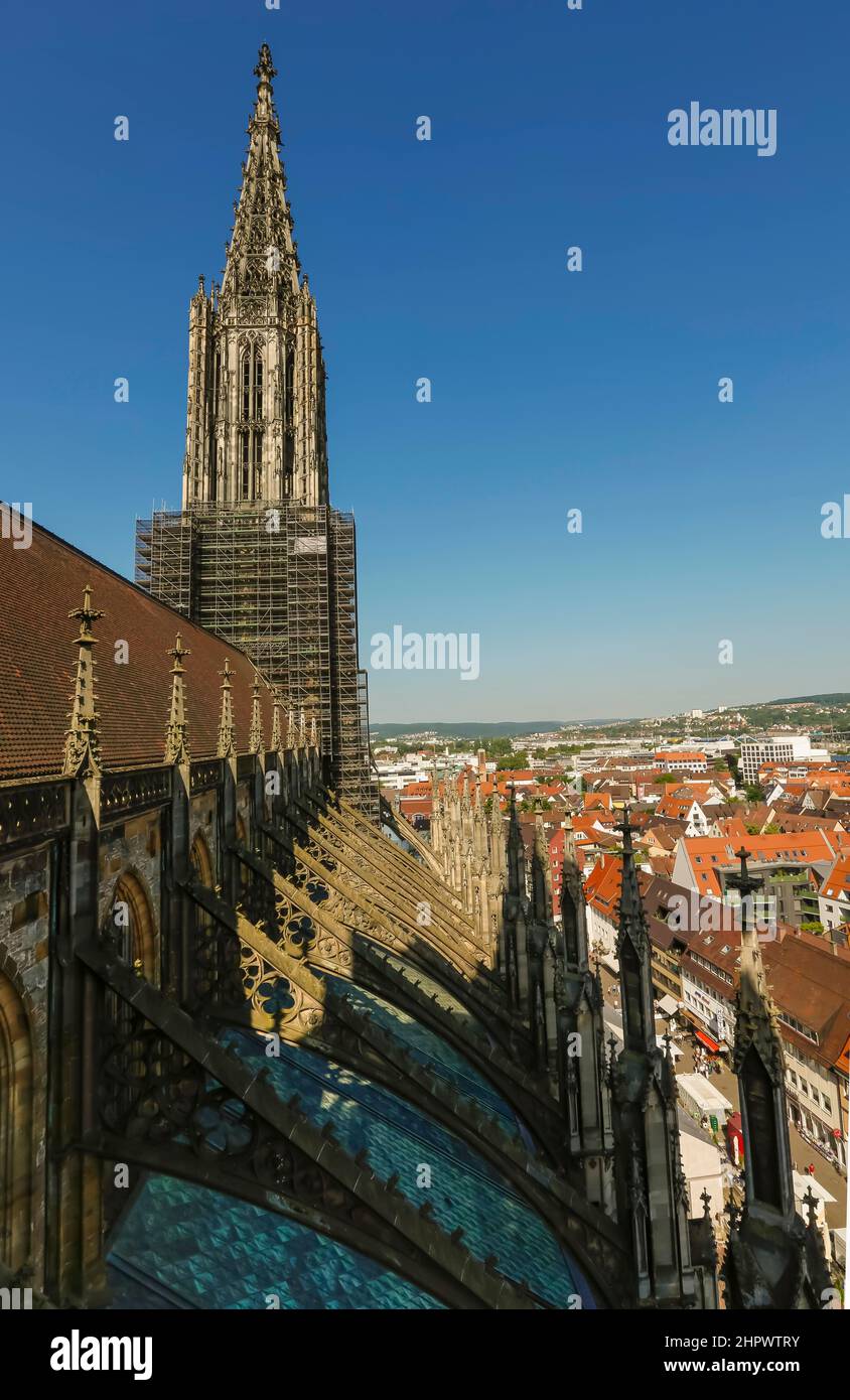 Ulm Cathedral, roof of the northern aisle, behind it the west tower ...