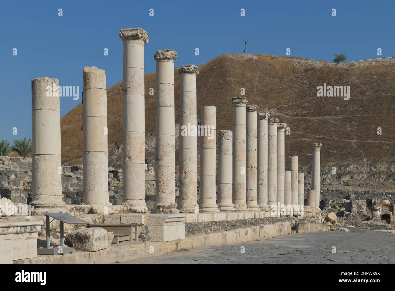 Palladius hi-res stock photography and images - Alamy