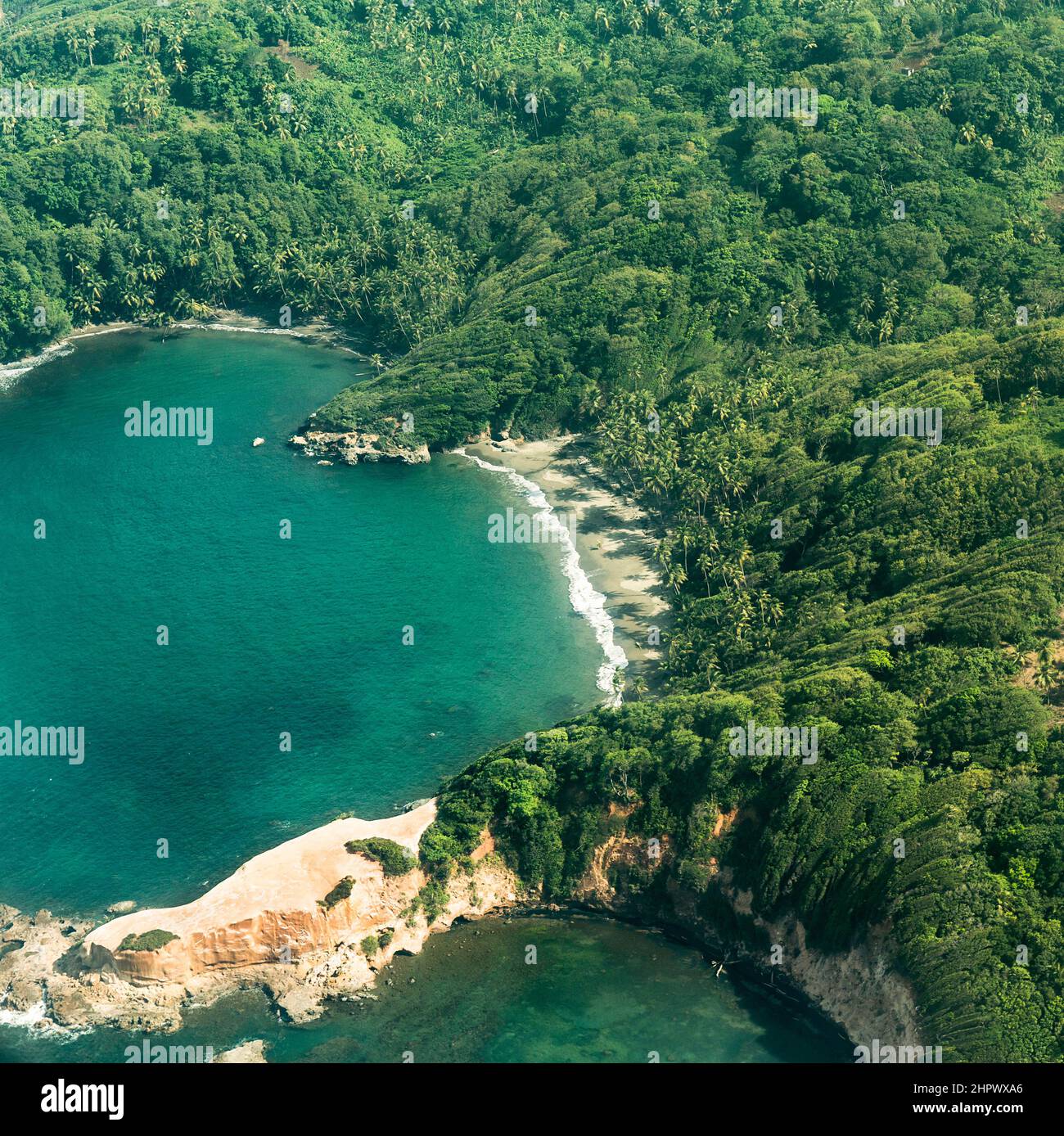 aerial of green jungle, coast and ocean in Dominica Stock Photo - Alamy