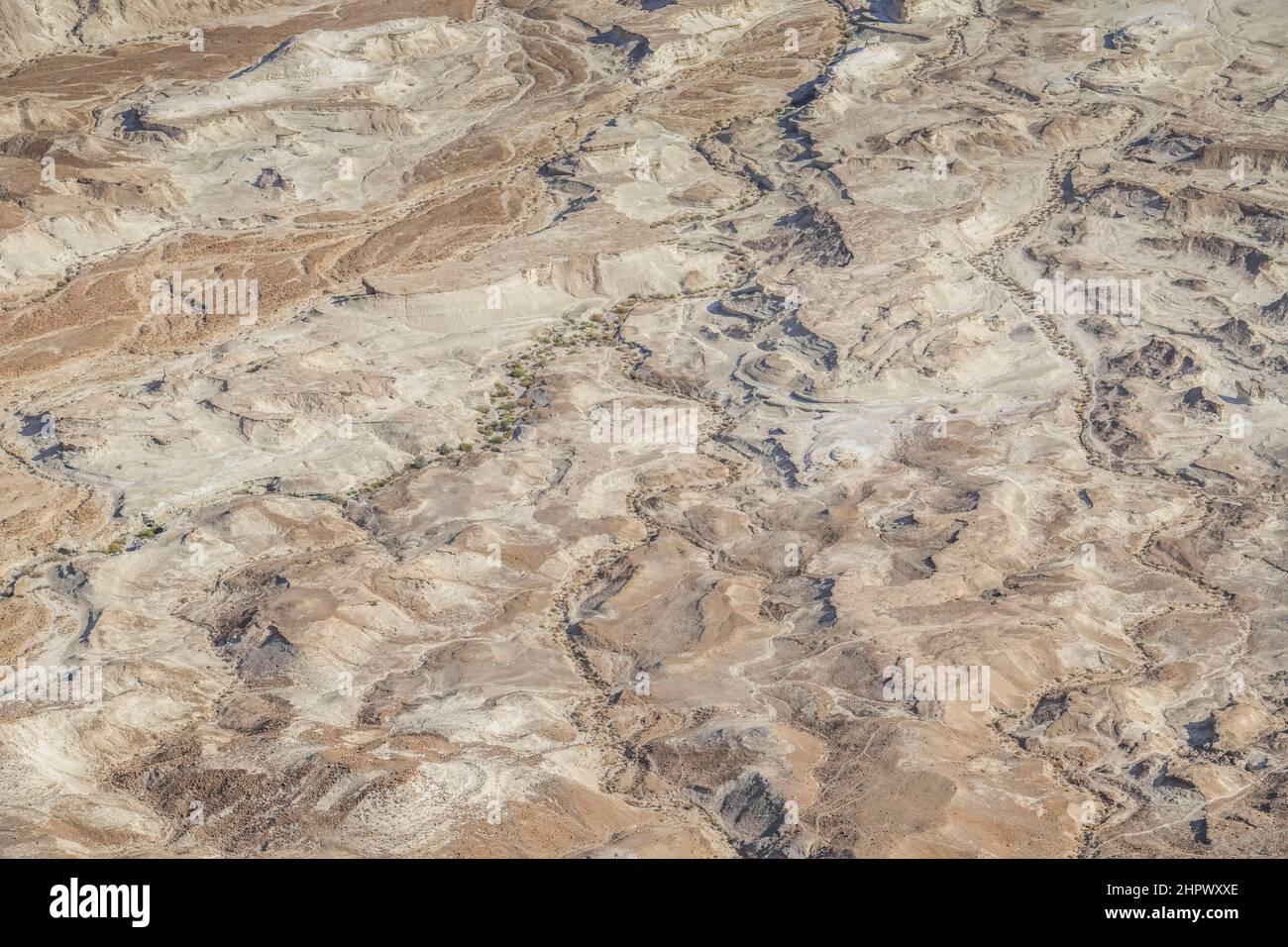 Desiccated desert formation at the Dead Sea, Israel Stock Photo - Alamy