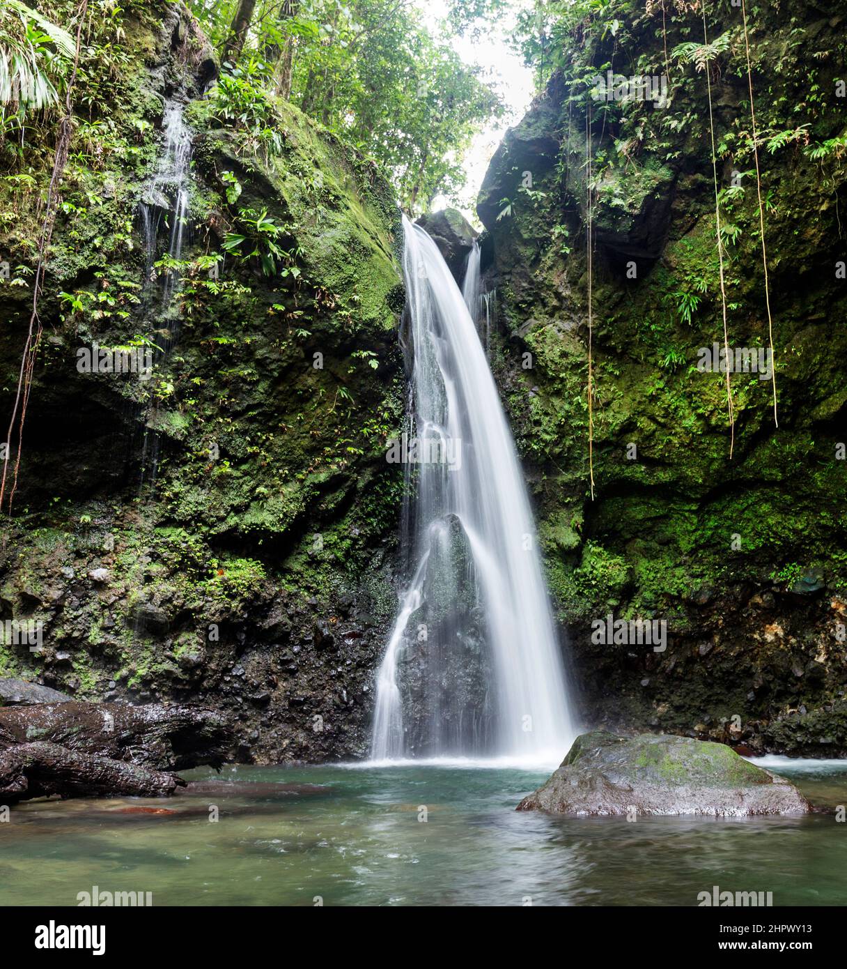 Jungle waterfall in Dominica island with long exposure time Stock Photo ...