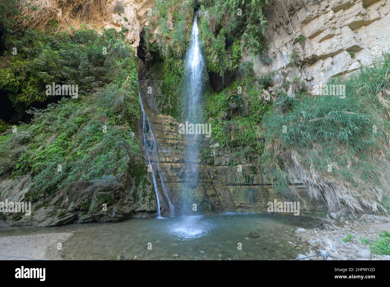 David's Waterfall, Wadi David, Ein Gedi Nature Reserve, Israel Stock ...