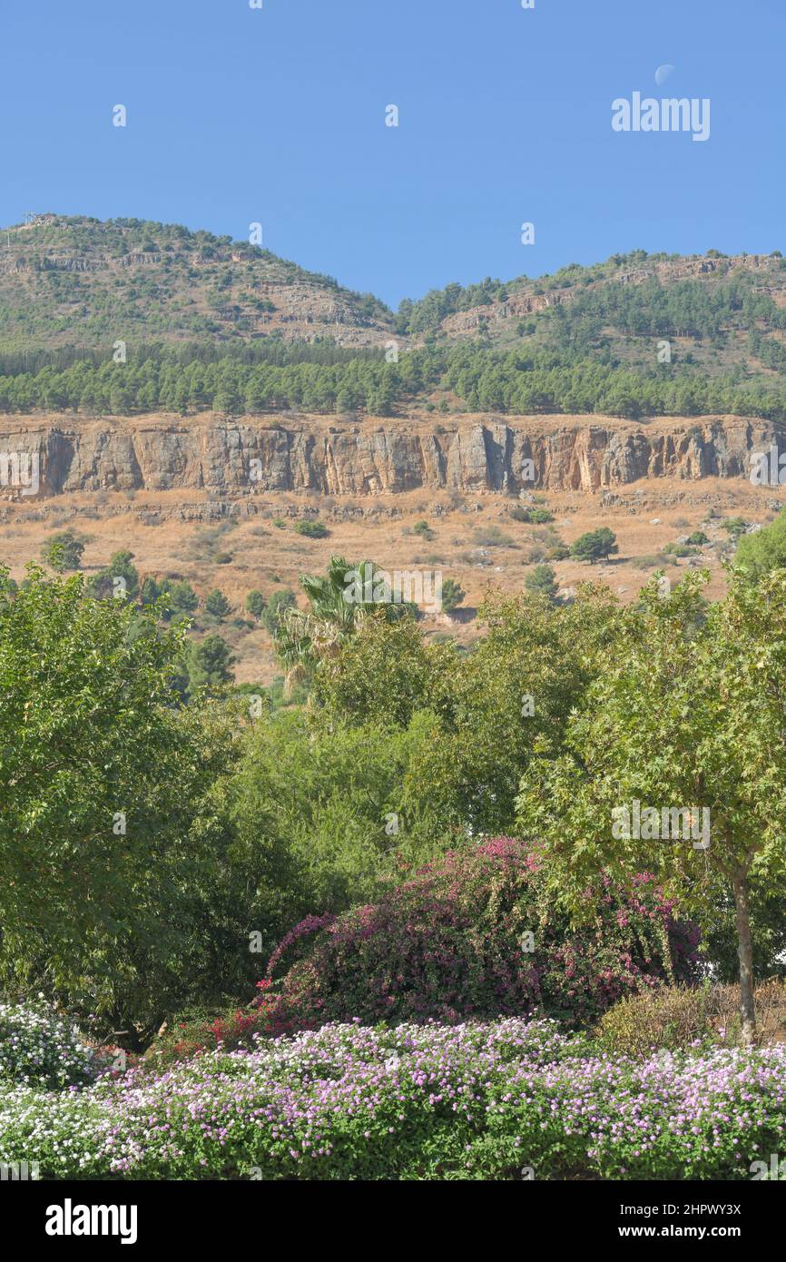 Menara Cliffs, Israel Stock Photo - Alamy