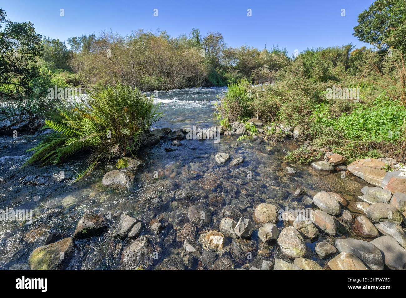 Tel dan nature reserve israel hi-res stock photography and images - Alamy