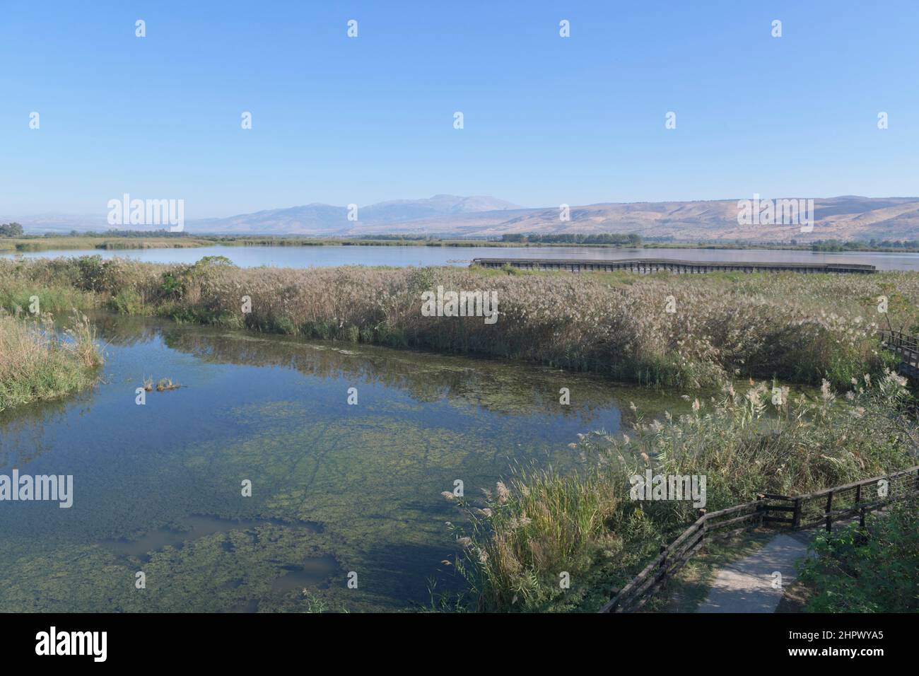 Lake hula israel hi-res stock photography and images - Alamy