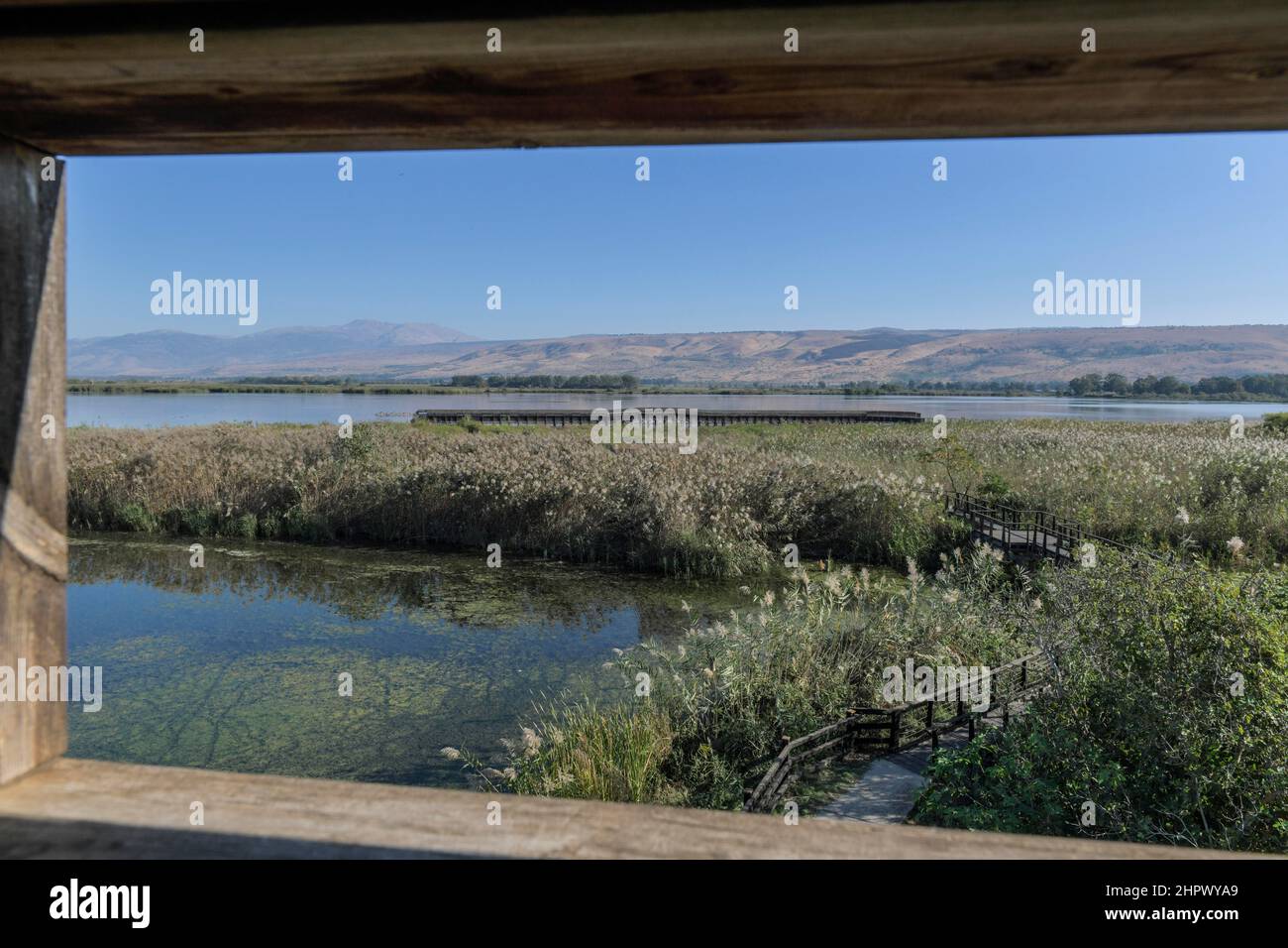 Observation tower, Hula Nature Reserve, Israel Stock Photo - Alamy