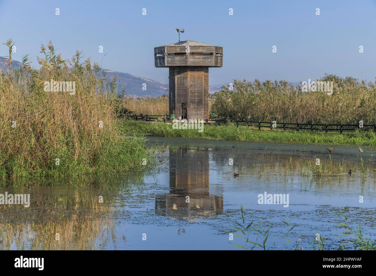 Observation tower, Hula Nature Reserve, Israel Stock Photo - Alamy