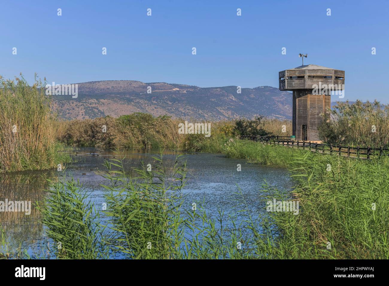 Observation tower, Hula Nature Reserve, Israel Stock Photo - Alamy