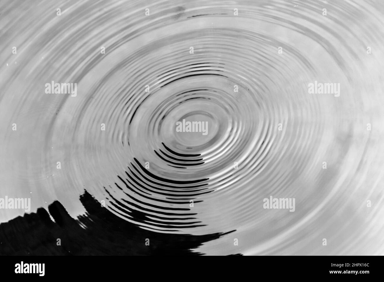 pattern of rain drops falling at the lake Stock Photo - Alamy