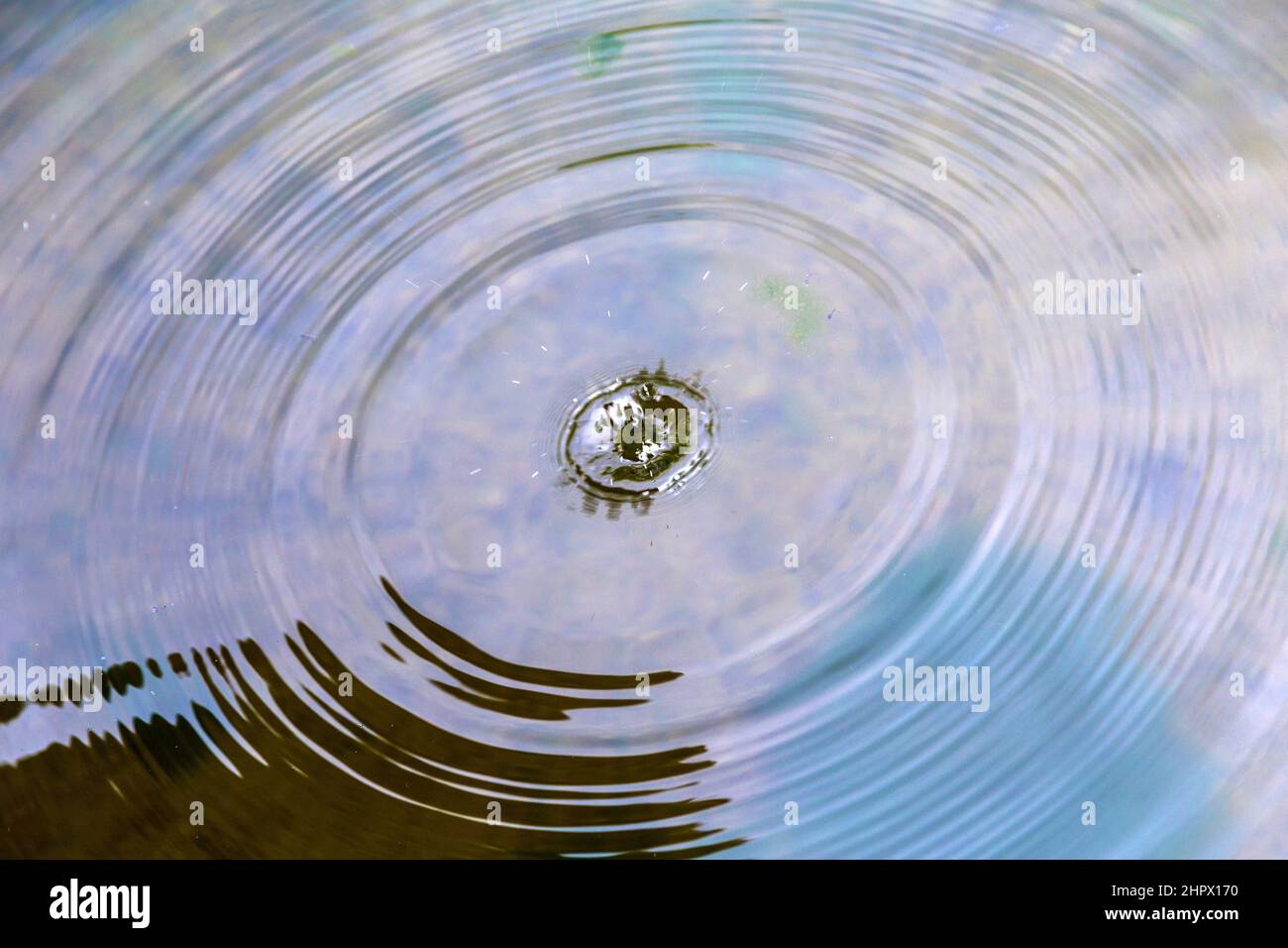 pattern of rain drops falling at the lake Stock Photo - Alamy