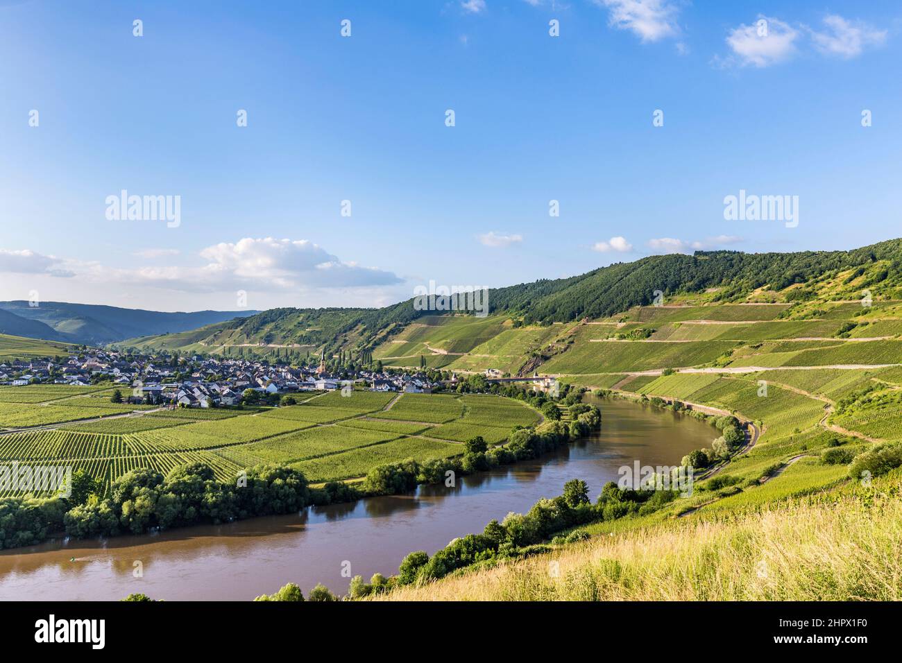 Trittenheim hi-res stock photography and images - Alamy