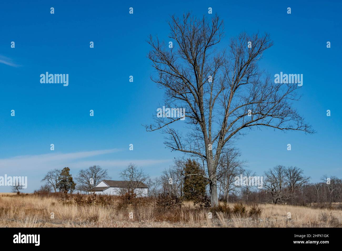 Michael bushman barn hi-res stock photography and images - Alamy