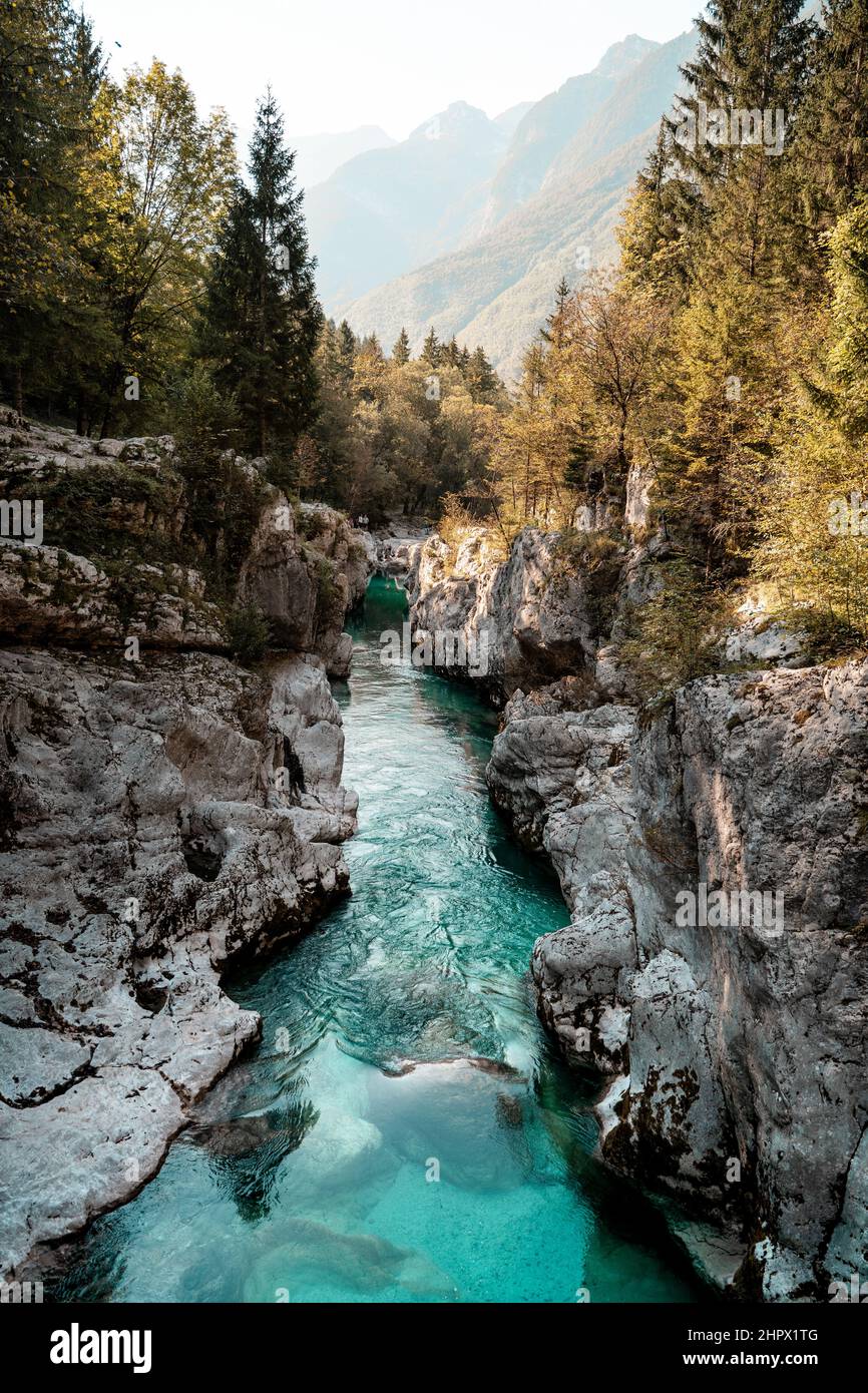 Crystal clear water running in the river at Slovenian alps with ...