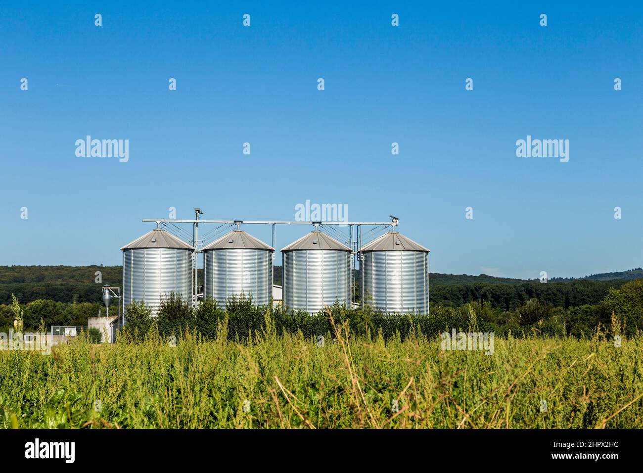 four silver silos in field under bright blue sky Stock Photo - Alamy
