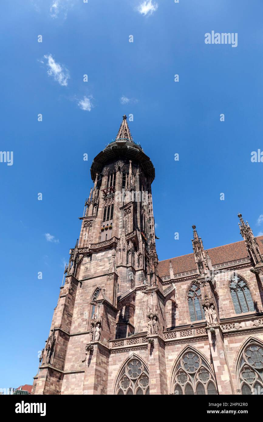 Main tower of world famous Freiburg Muenster cathedral, a medieval ...