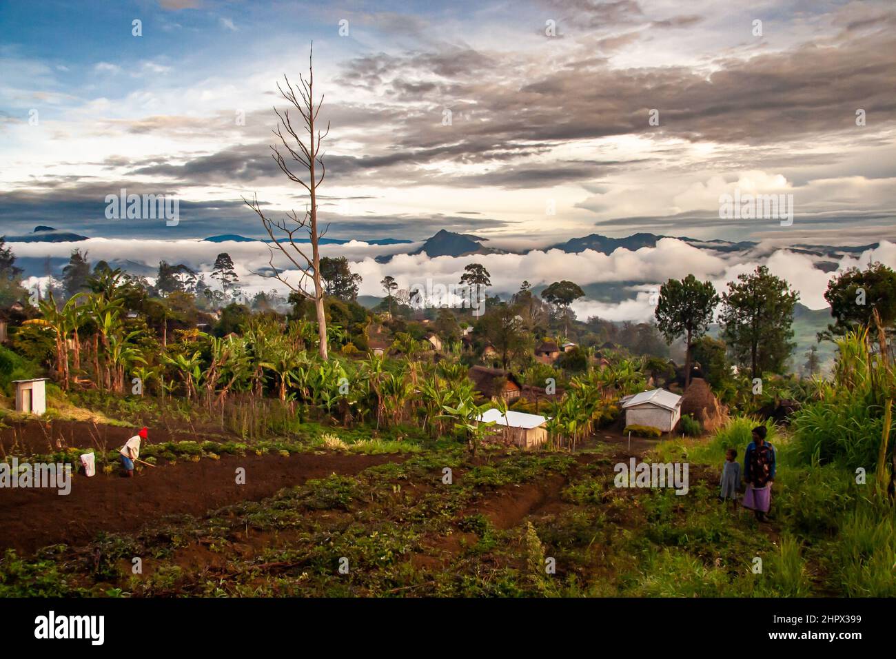 Wide view of mountainous valley in PNG with thatched village homes ...