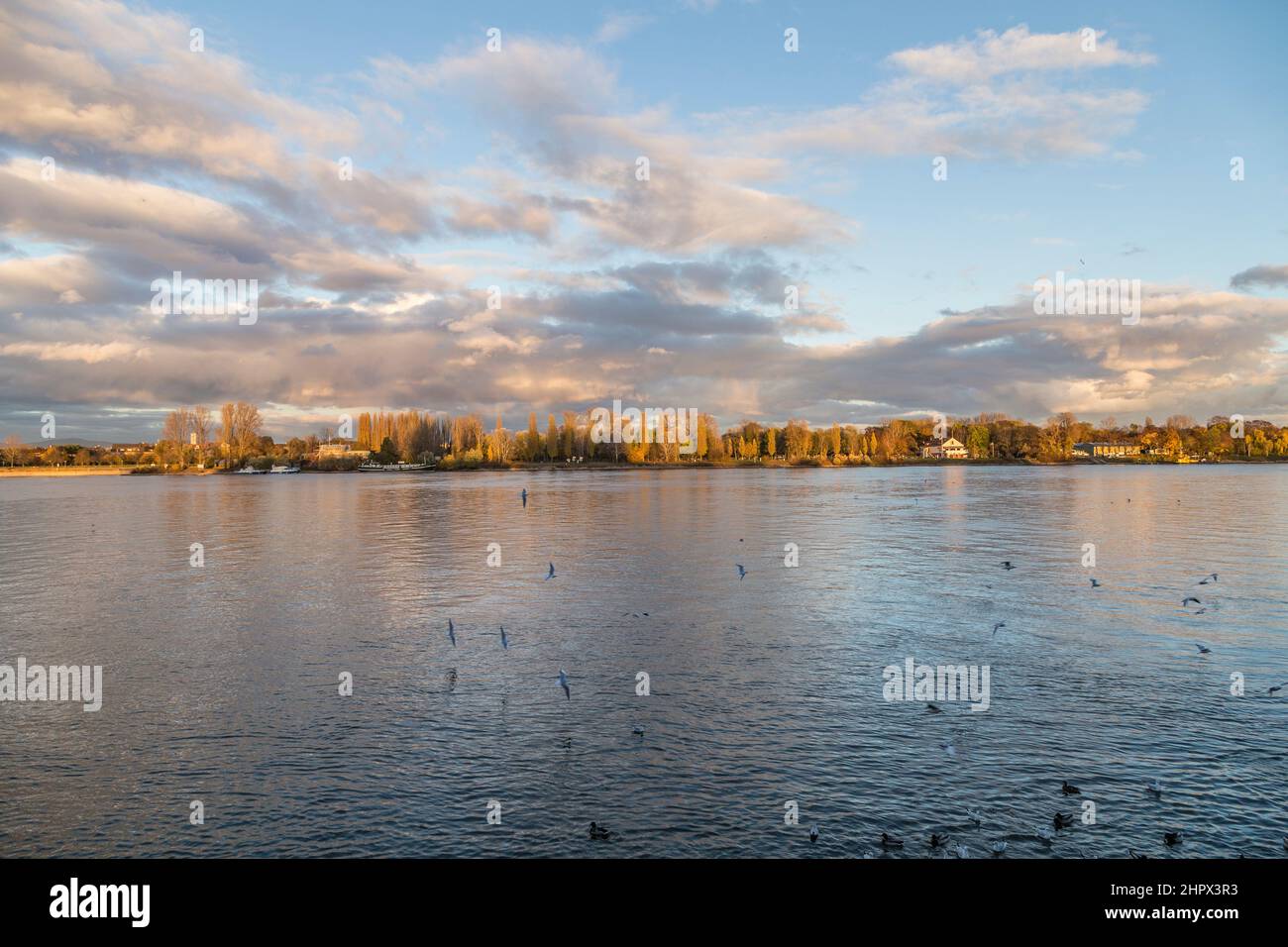 skyline of left rhine bank seen from Mainz with old Rhine bridge in ...