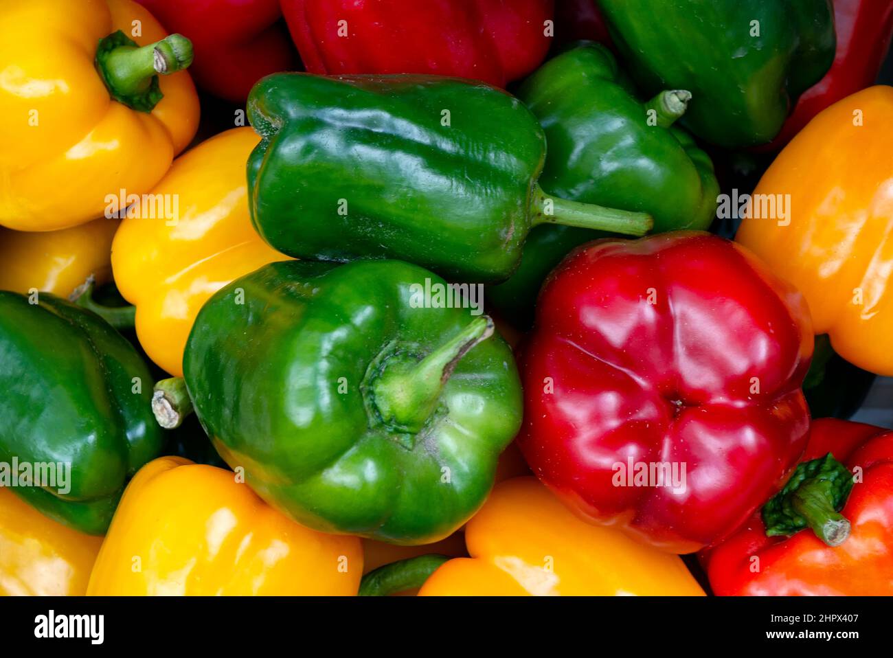 Selection bell peppers hi-res stock photography and images - Alamy