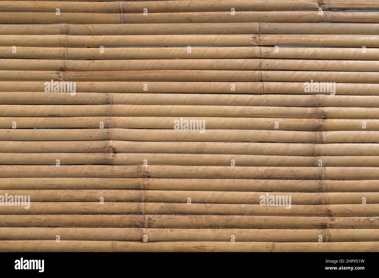 Bamboo panel texture background Stock Photo - Alamy