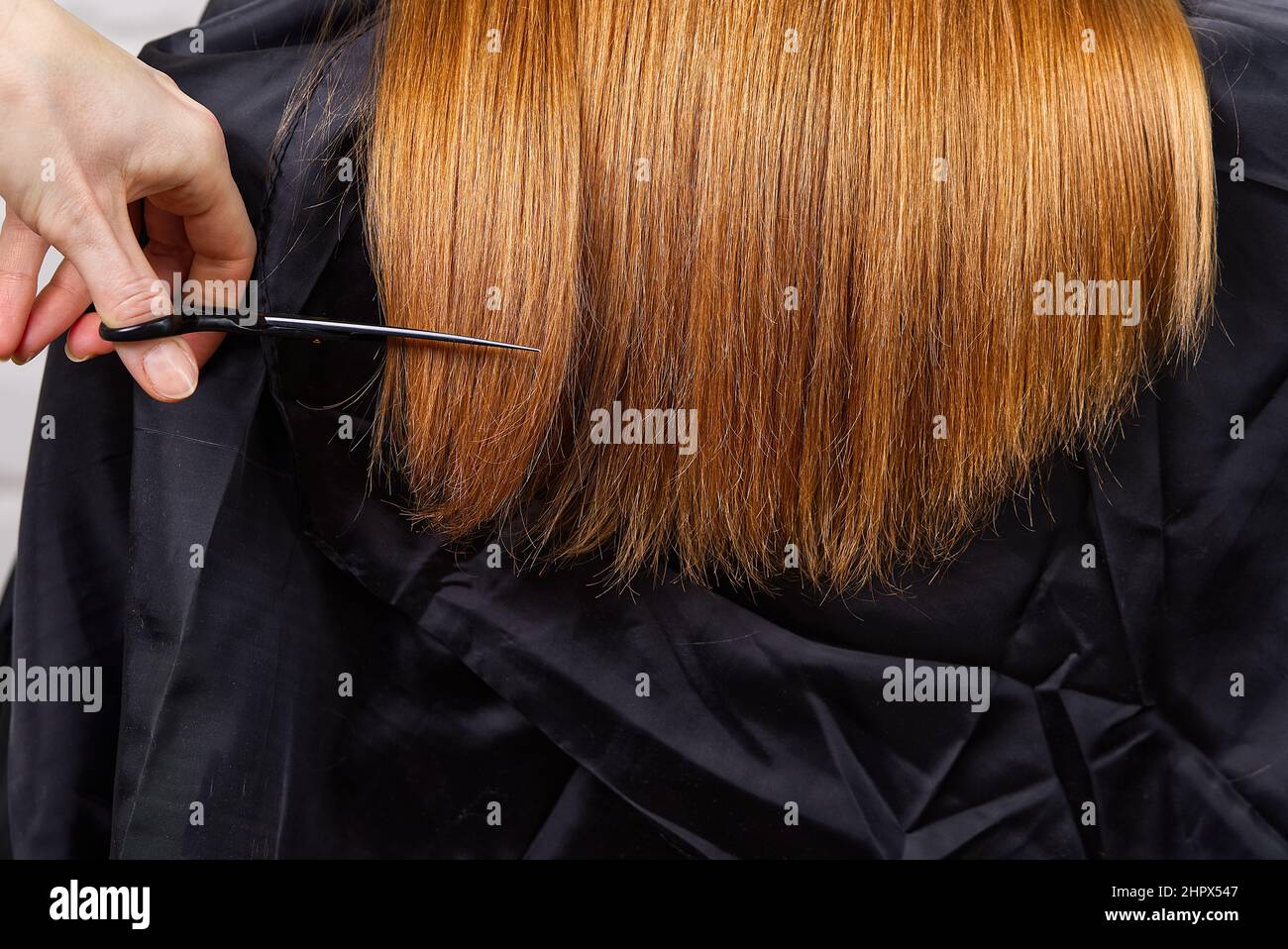 Woman hair care. Hairdresser making hairstyle to young girl in beauty ...