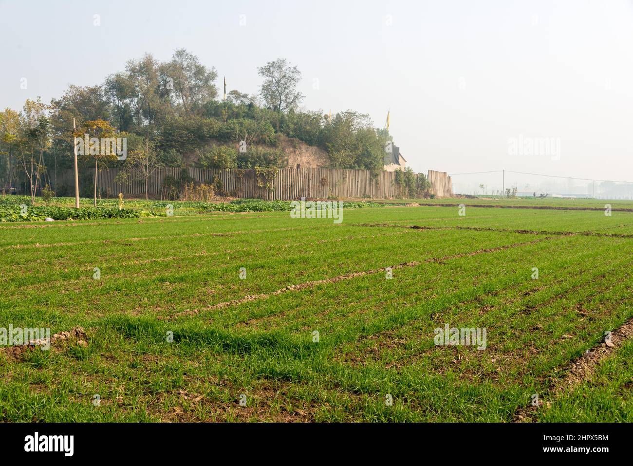 Erlitou hi-res stock photography and images - Alamy