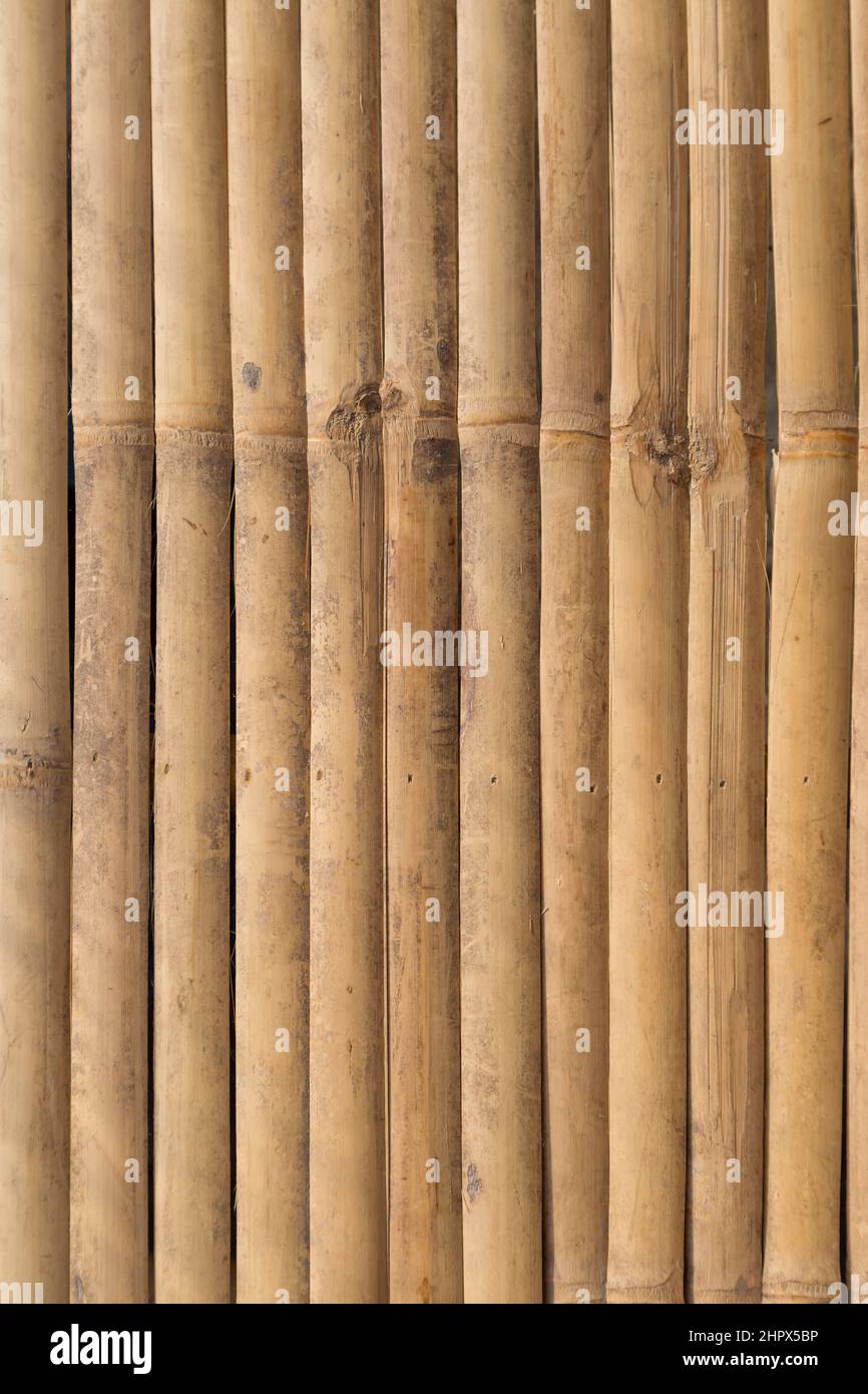 Bamboo panel texture background Stock Photo - Alamy