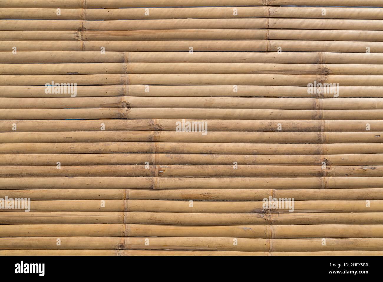 Bamboo panel texture background Stock Photo - Alamy