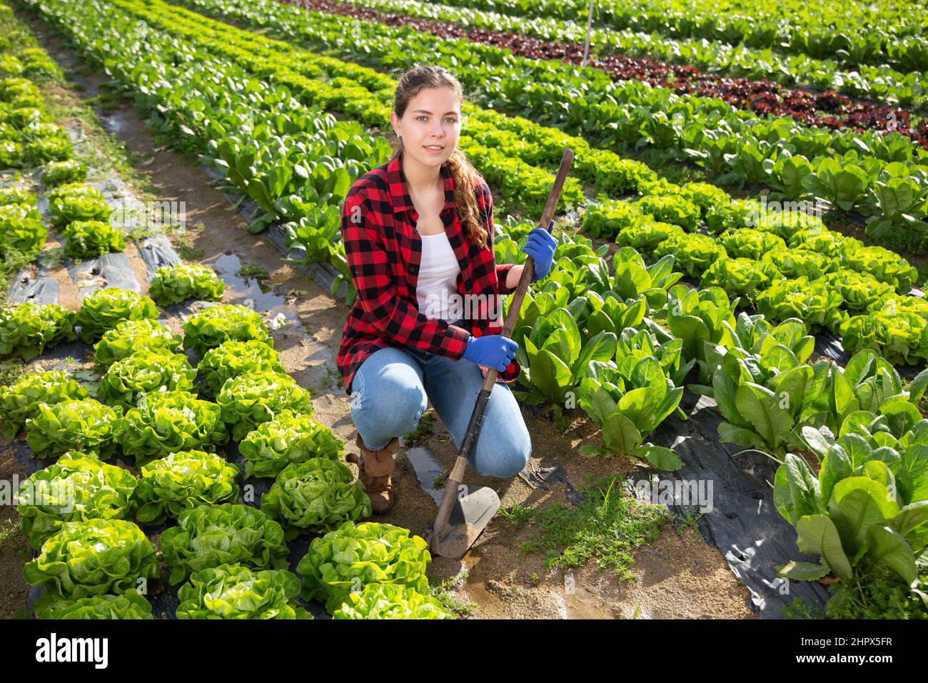 Portrait of girl vegetable grower in family vegetable farm Stock Photo ...