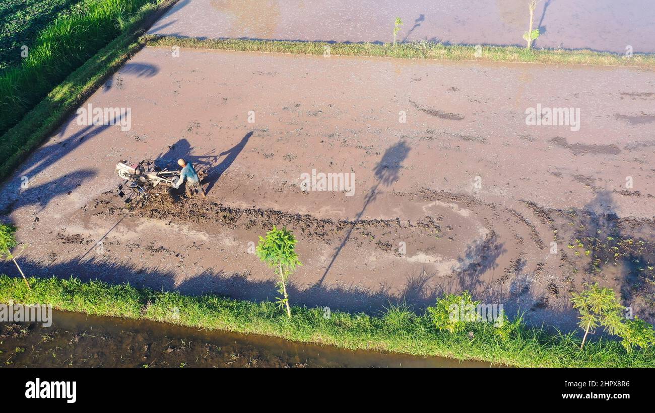 farmer plowing muddy field with hand tractor on indonesia, asia Stock ...