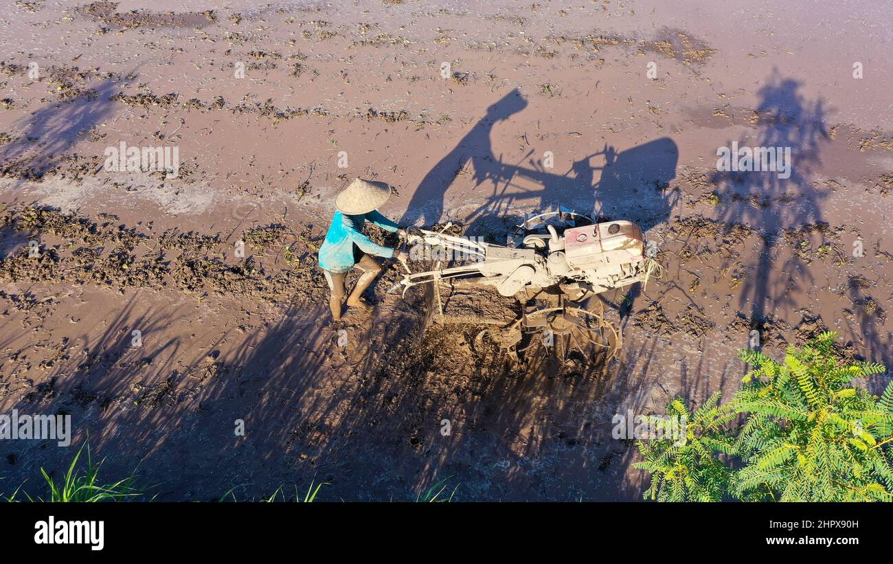 a farmer plows a field with a hand tractor farming machine in a ...